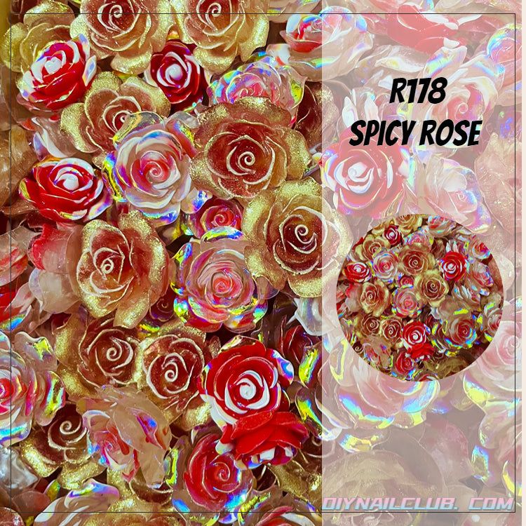 AR002 【clearance】 spicy rose – diynailclub